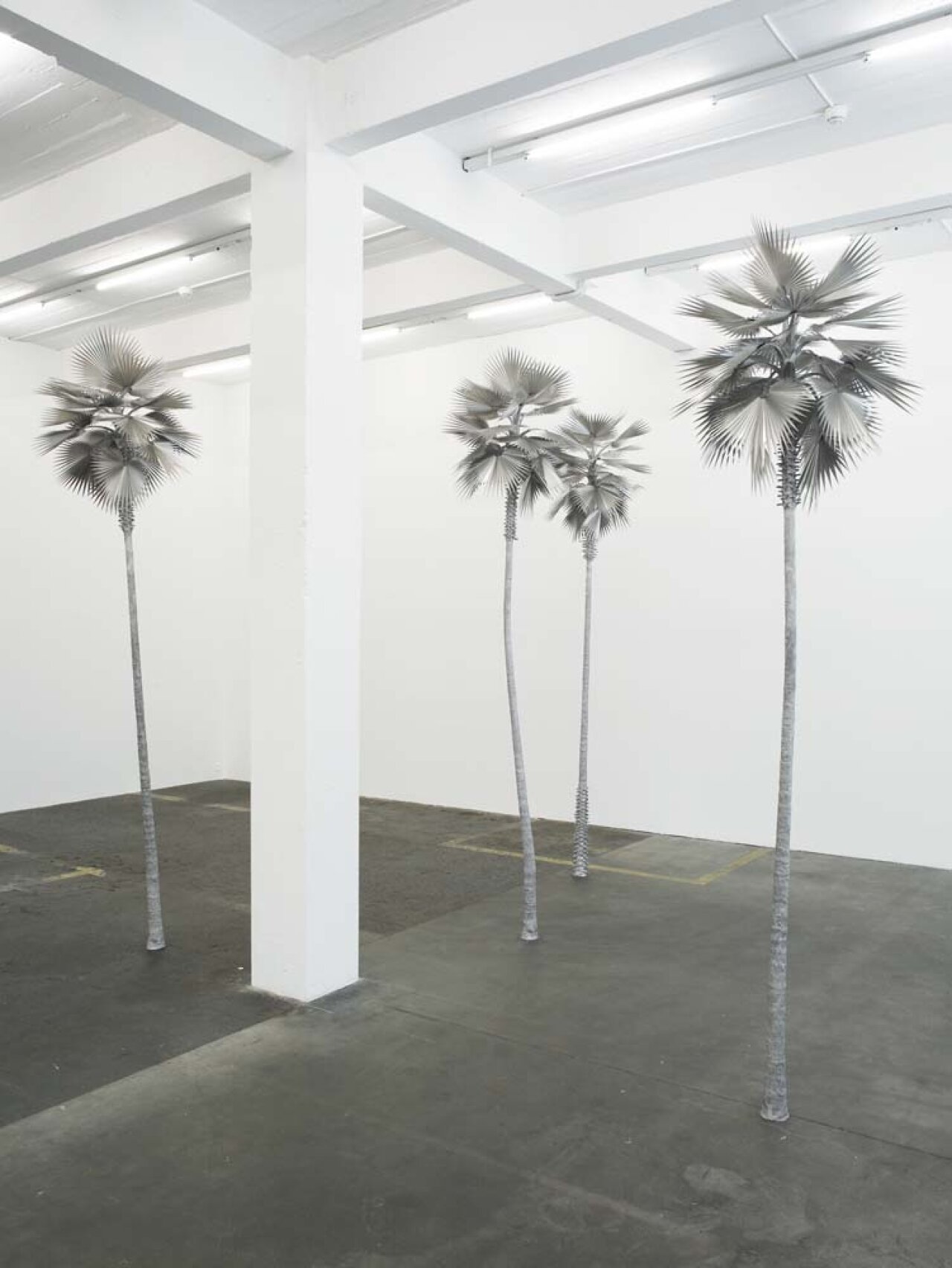 Kunst Halle Sankt Gallen • David Zink Yi • Borrowed Light